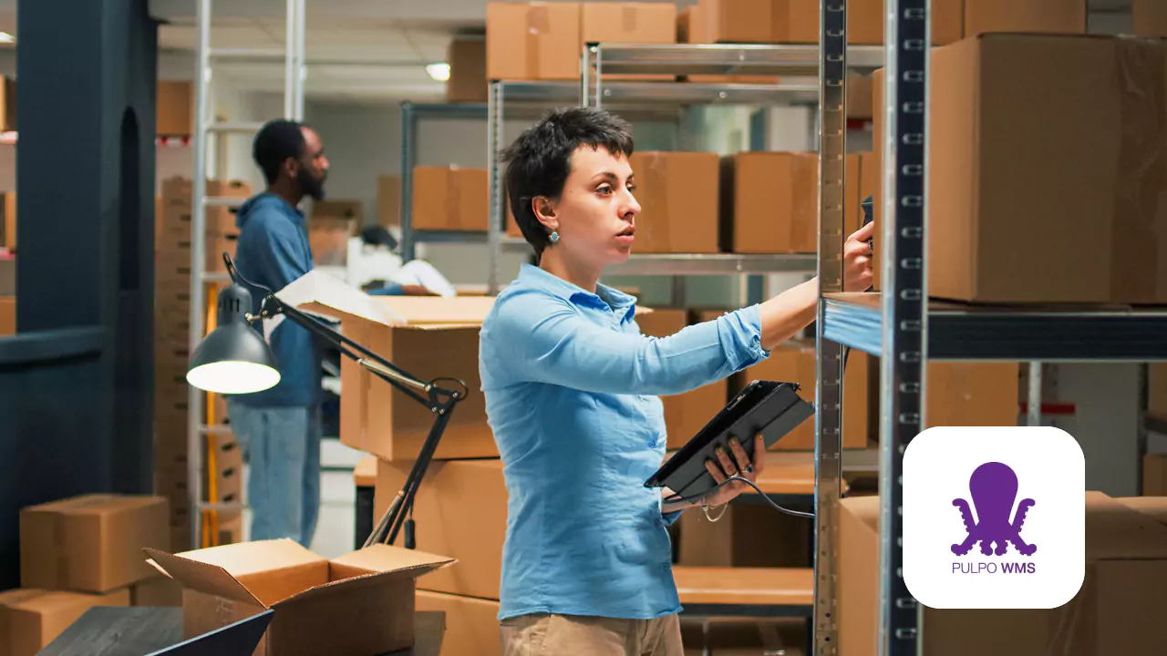 Mastering Inventory Control: How a WMS Enhances Accuracy & Efficiency