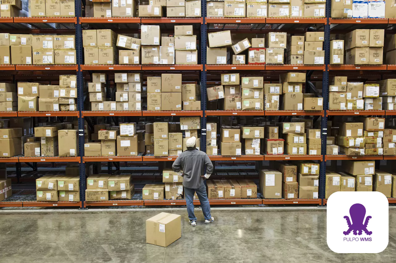 Transform Your Warehouse: Unleashing Efficiency with a WMS